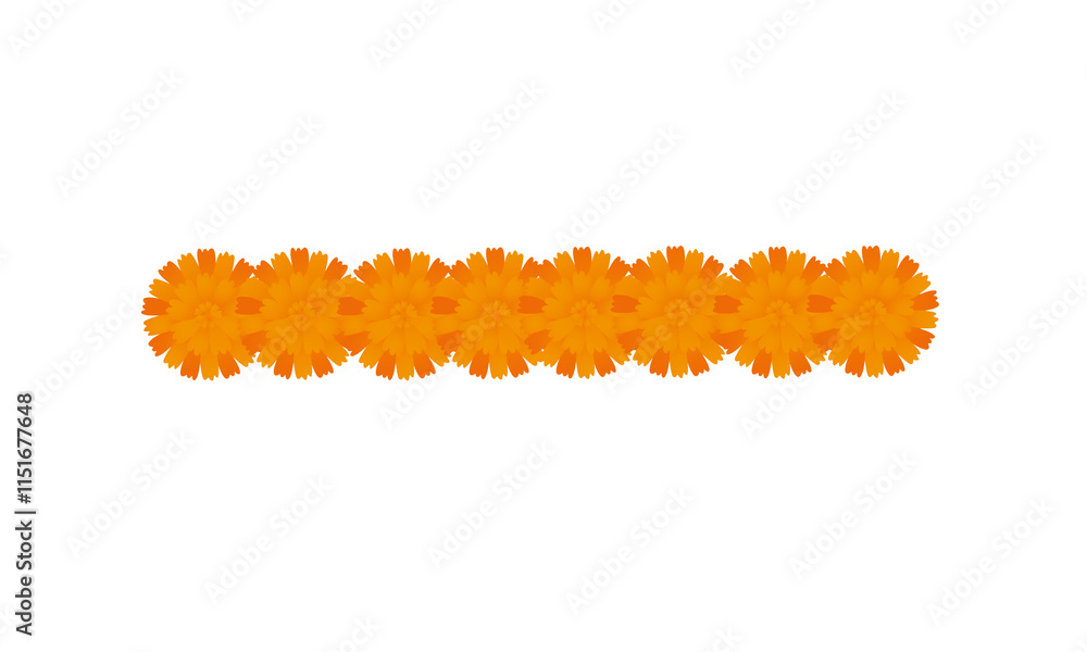 Marigold flower border for indian hindu festivals isolated on a ...