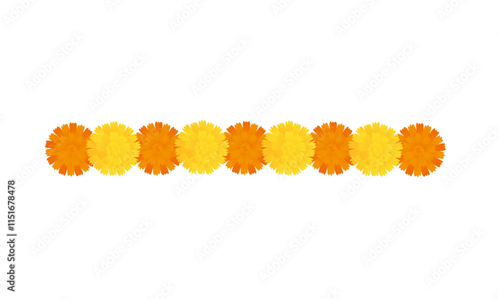 Marigold flower border for indian hindu festivals isolated on a ...