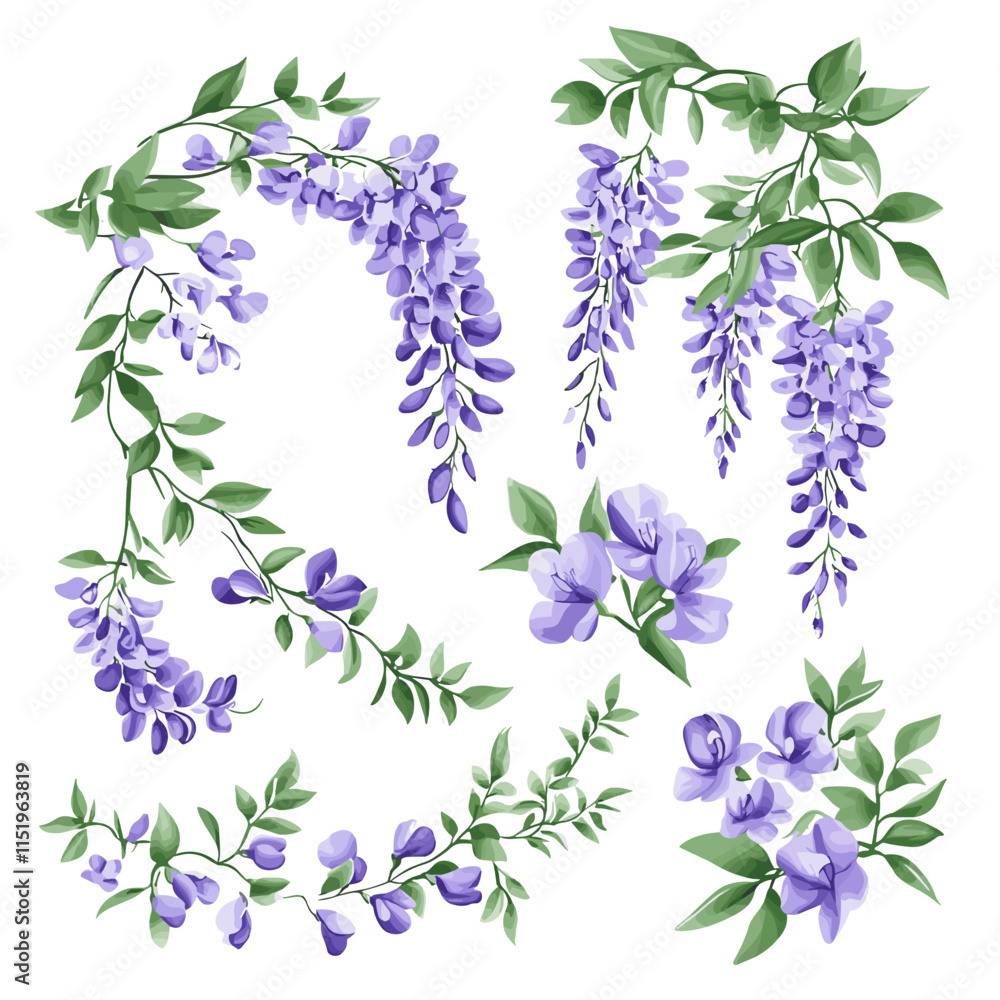 Vector set of wisteria flowers for designing prints, signs, posters and ...