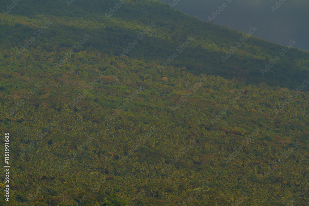 View of the landscape and plantations below mount Karthala n Moroni ...