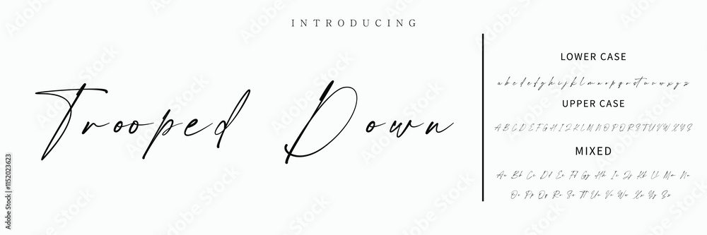 Hand drawn vector alphabet. Modern monoline signature script font. Elegant Signature Font. Best ...