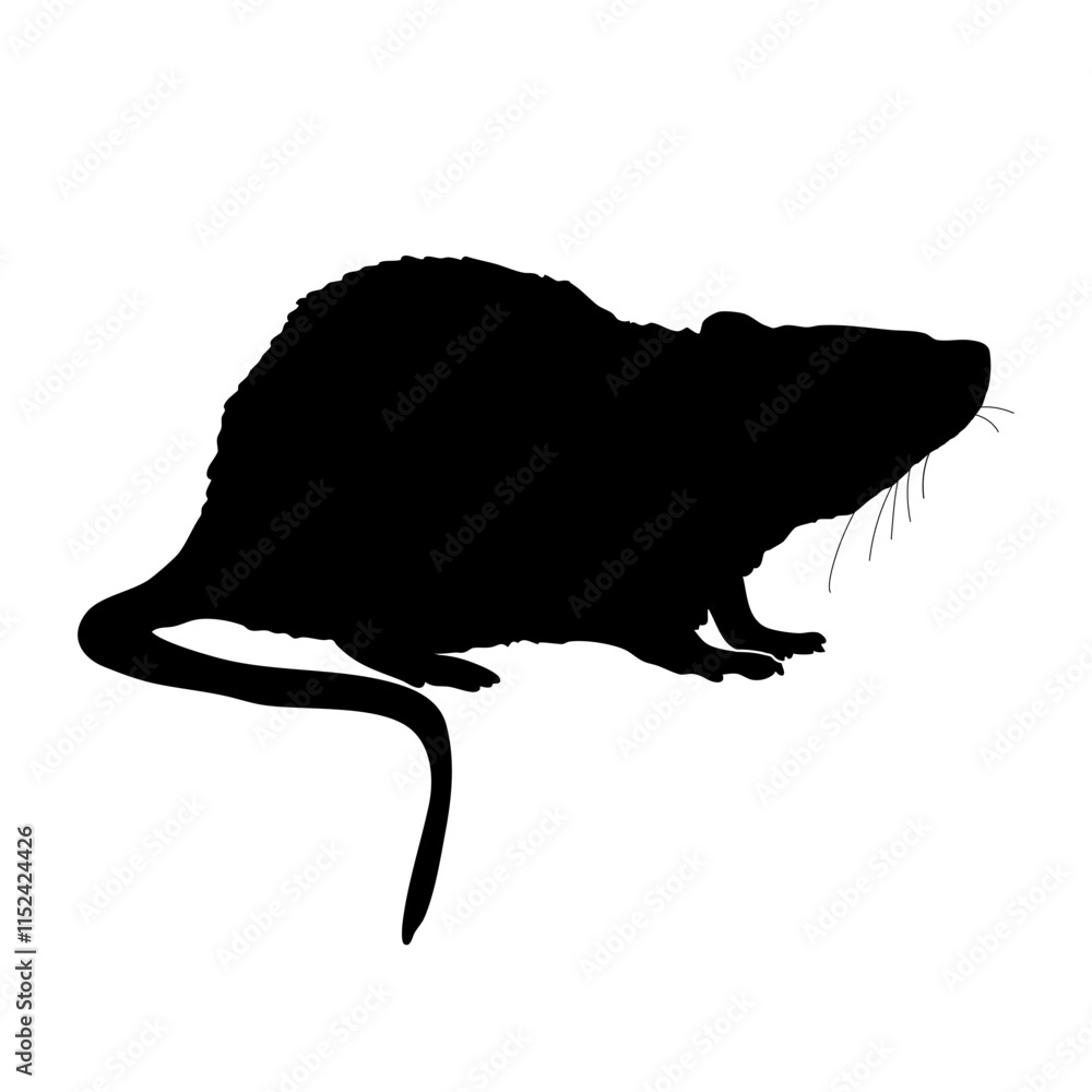 Black silhouette of rat profile isolated on white background. Stop rat ...