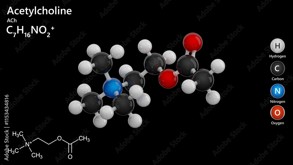 Illustration Stock Molecule: Acetylcholine. Neurotransmitter. Molecular ...