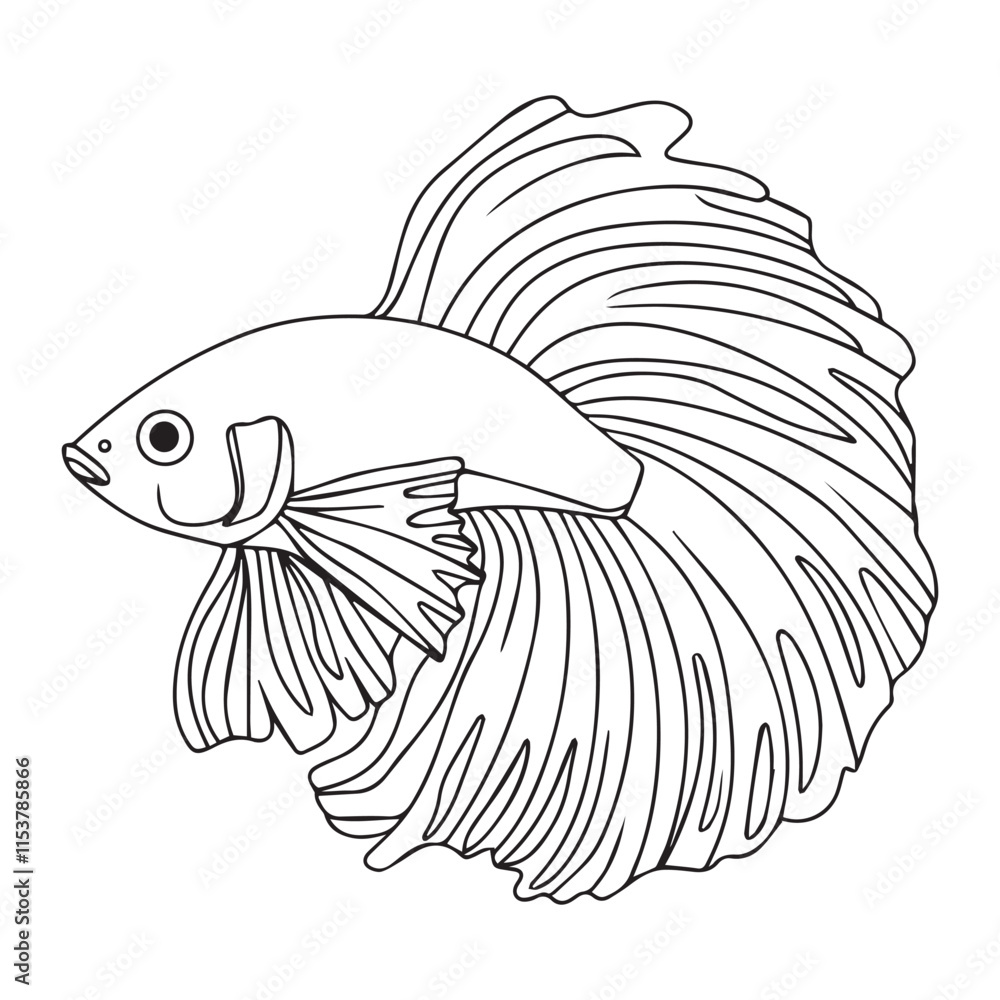 Betta fish coloring page for a children's book with colorful examples ...
