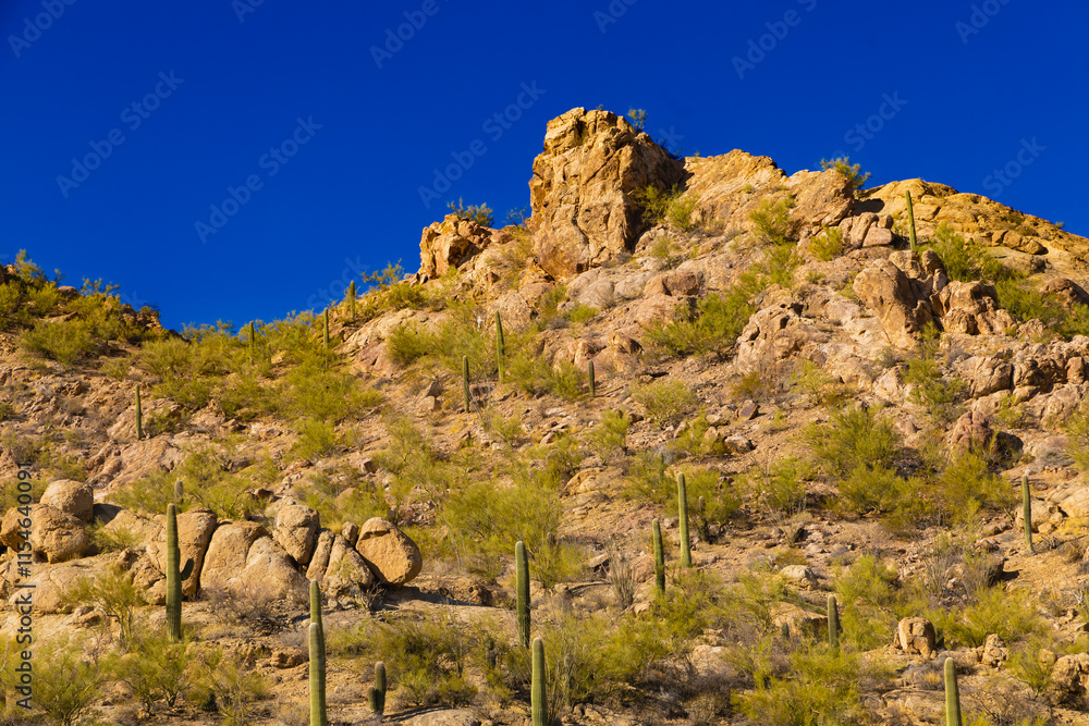 Experience the stunning beauty of the Tucson desert, where the rugged ...
