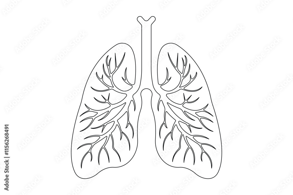 Anatomical human lungs continuous one line drawing vector illustration ...