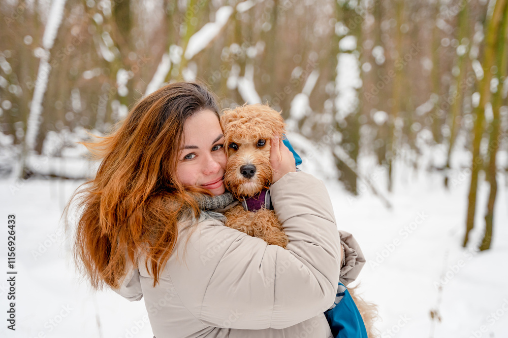Young woman holds her dog a Cavapoo or Cockapoo breed dog in clothes in ...