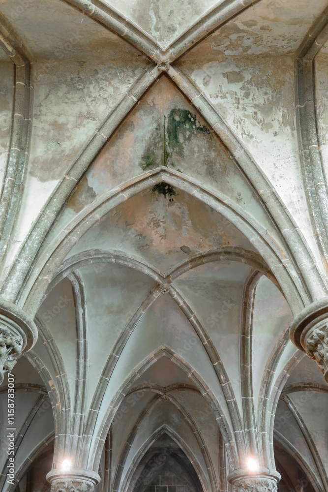 Gothic ribbed vault arcade covering the Knights Hall, possible ...