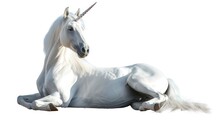 Unicorn Fantasy Mythical Creature Free Stock Photo - Public Domain Pictures