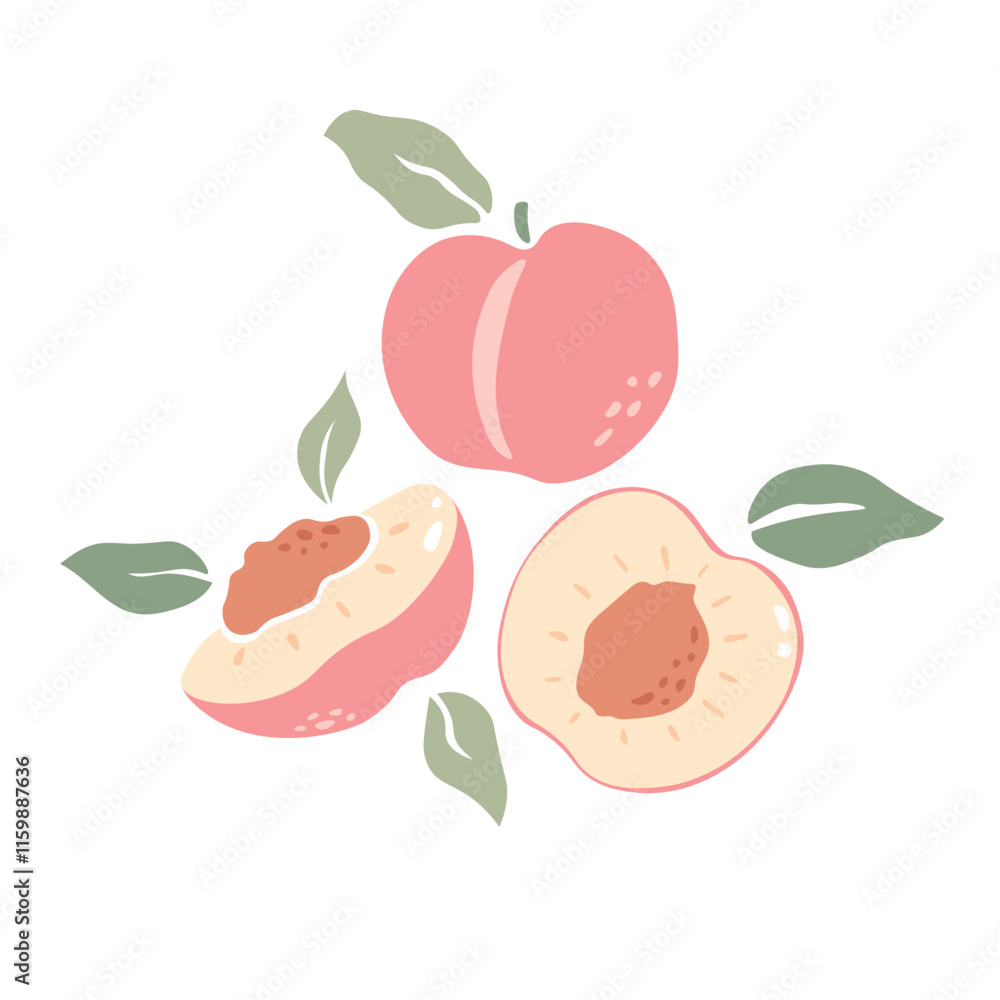 Set of pink peaches vector with leaves. Half, slice and whole shape of ...