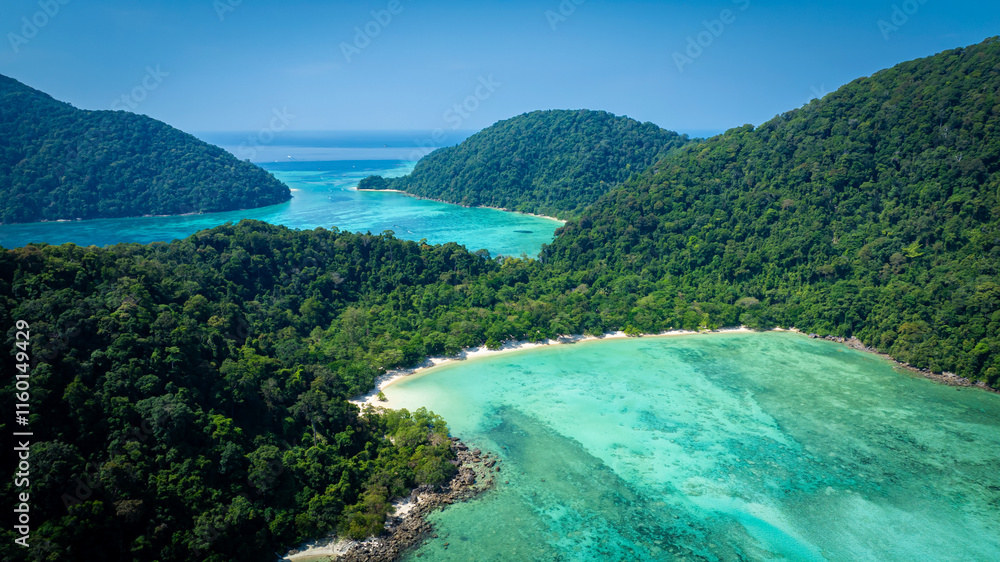 Aerail view of green forest and the sea. natural ecosystems of forests ...