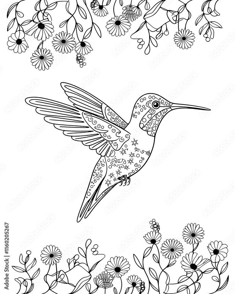 Hummingbird printable coloring page for kids, bird coloring book Stock ...