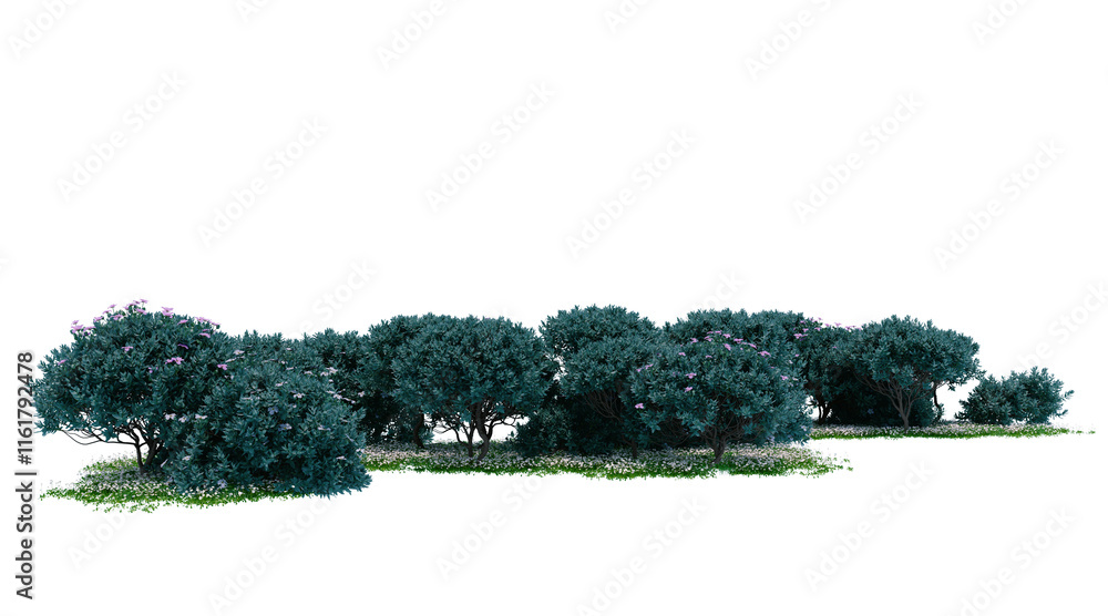 Texas sage flower bush on transparent background png. 3D rendering ...