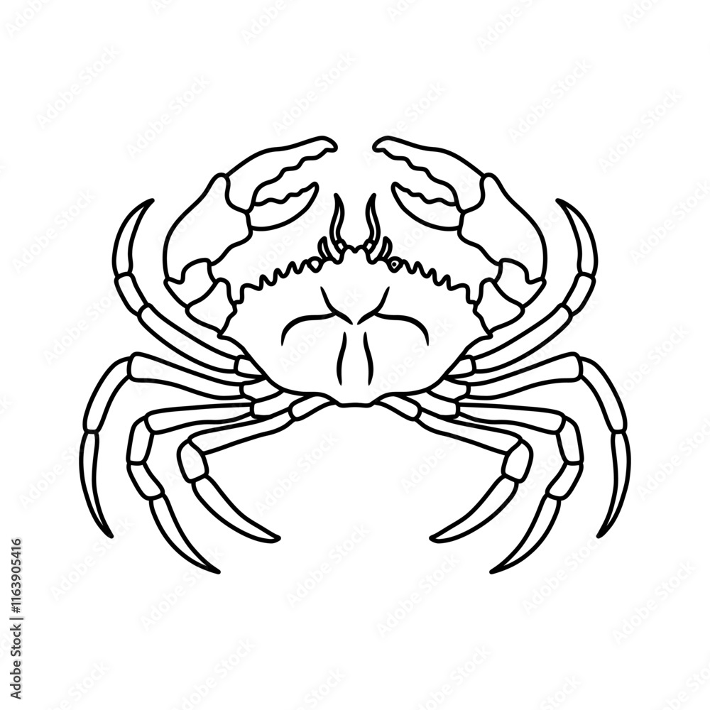 Crabs line art vector illustration. Seafood crab in outline for icon ...