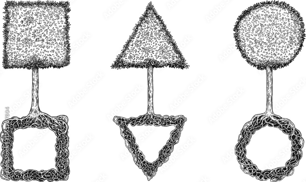 Set of hand draw tree with triangle, circle and square crown and roots ...