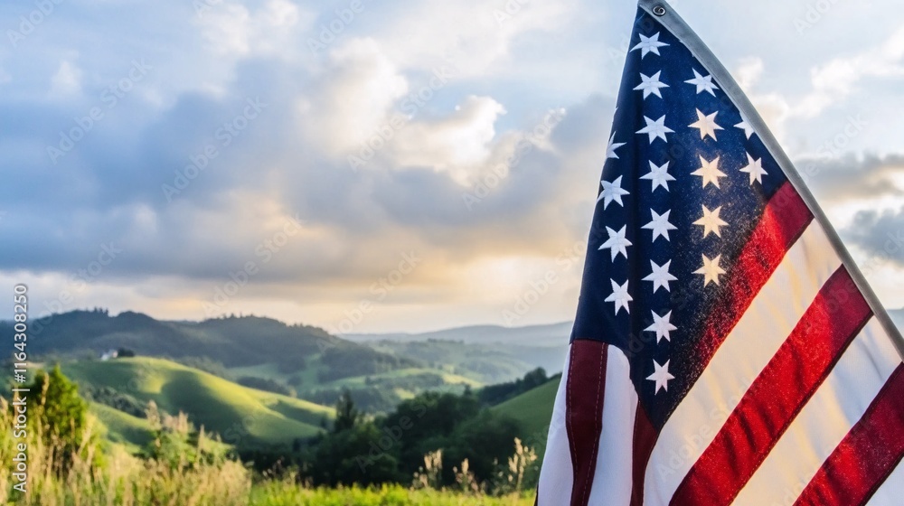 of the American flag, integrated with an image of a shadowy landscape ...