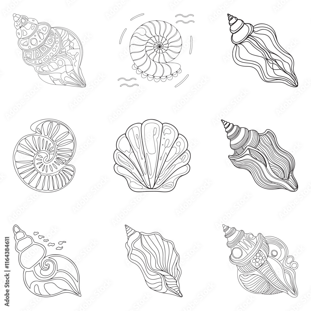 Set of seashell coloring page for kids. Summer outline doodle colouring ...