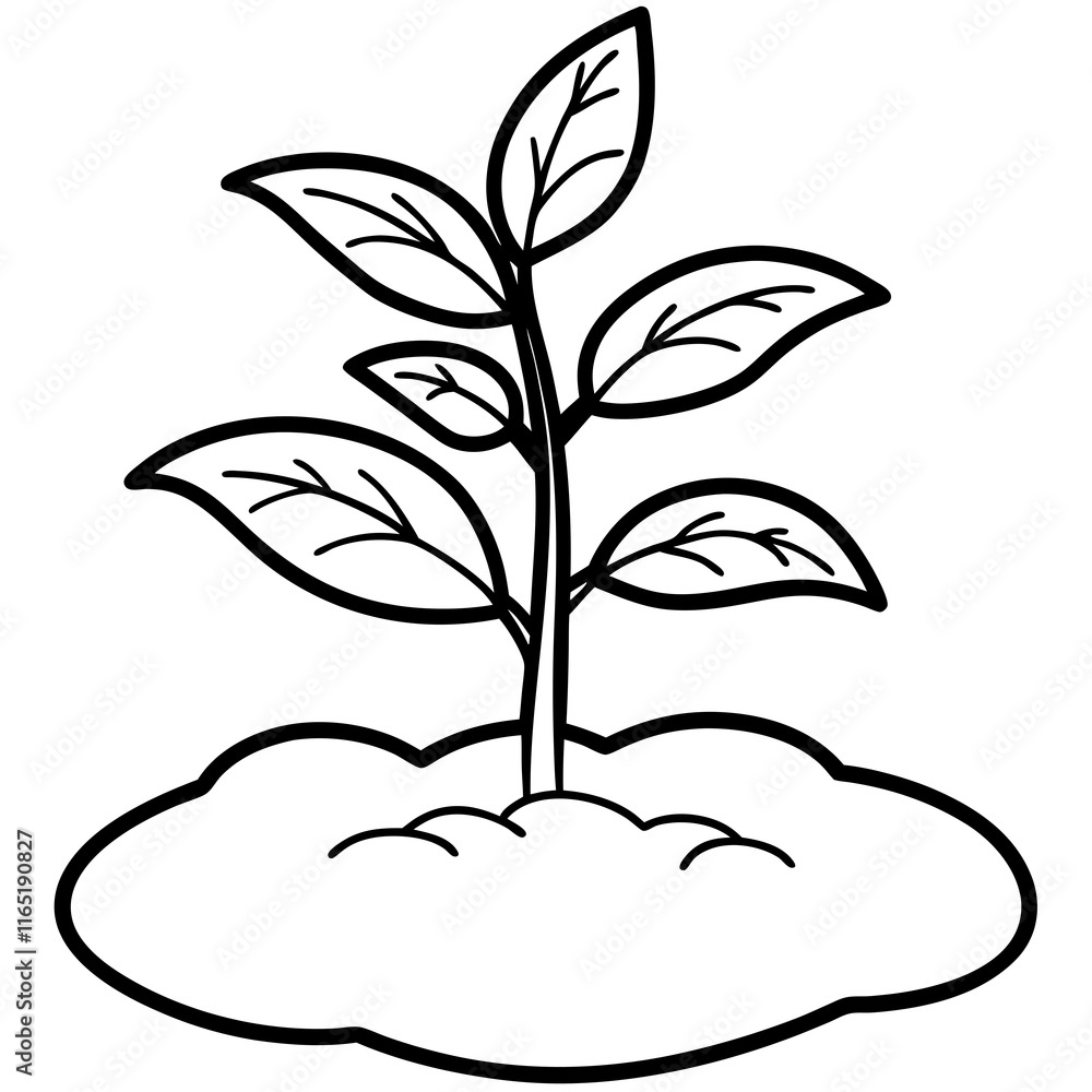 Growing Young Plant in Soil Vector Coloring Page - Line Art and Outline ...