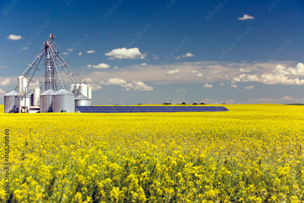 Canola Grain Silo Solar Pane Canadian Praries Landscapel Stock Photo ...