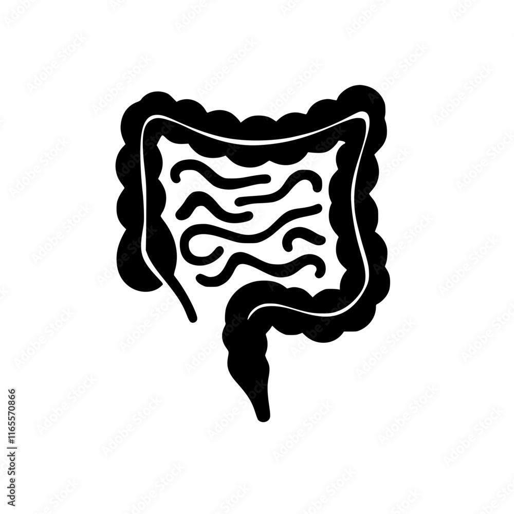 Intestine anatomy illustration. A black and white graphic showing the ...