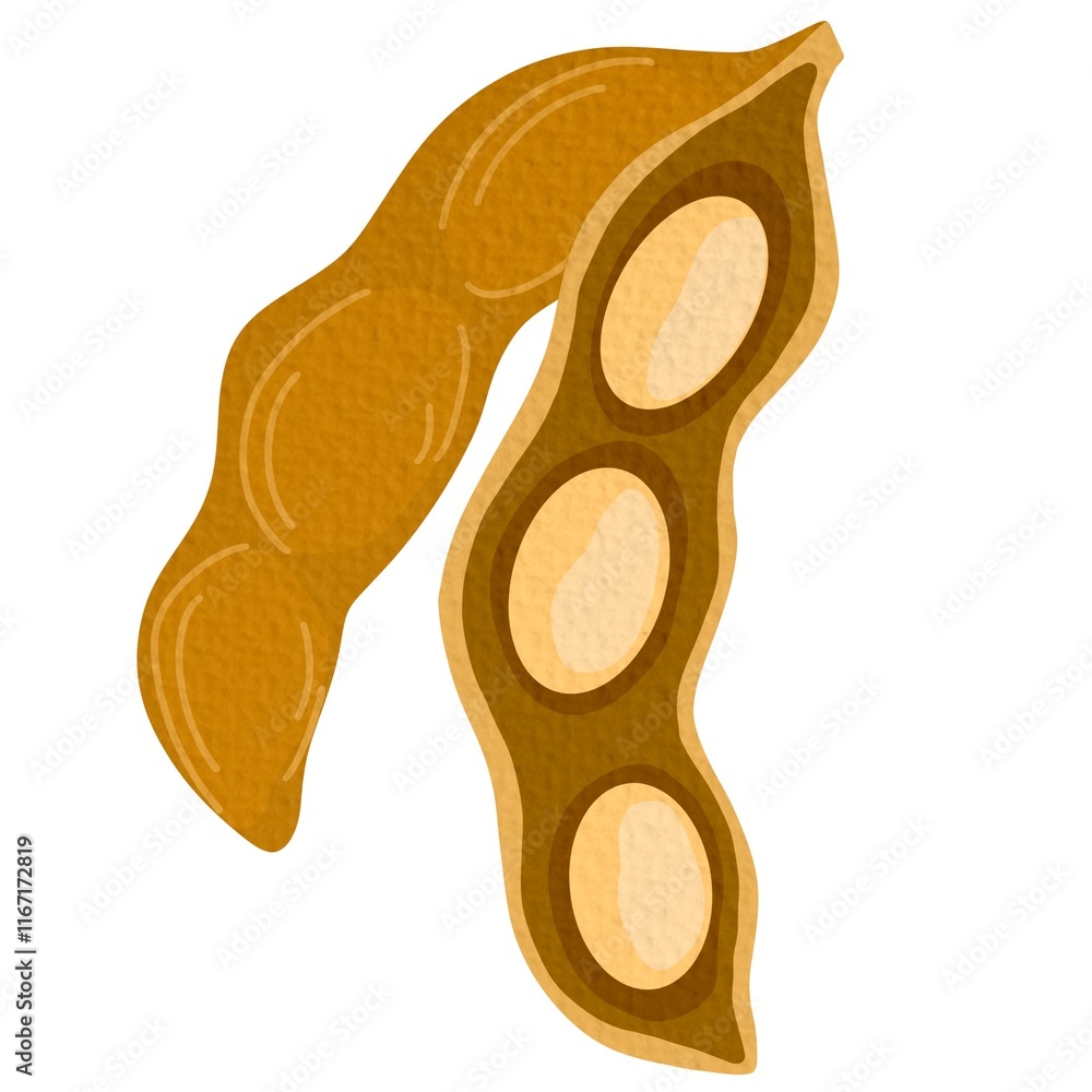 Raw soy, soybeans pods isolated vector set. Green fresh bean husk with ...