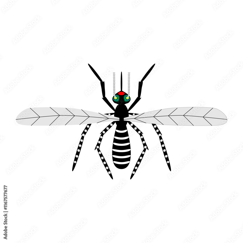 Reino animal insecto zancudo nombre cientifico Aedes aegypti o mosquito ...