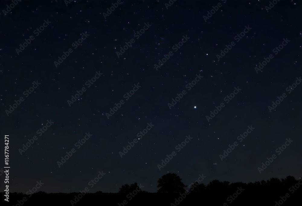 Starry night sky over dark forest silhouette. Natural landscape with ...
