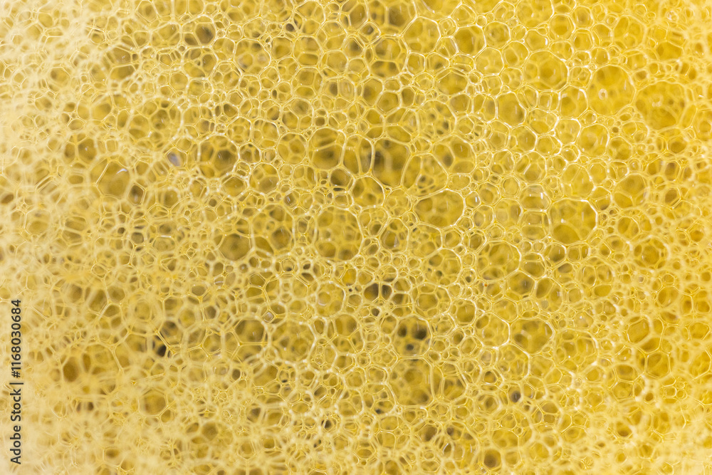 Polymerase Chain Reaction (PCR) and Agarose gel electrophoresis is a ...