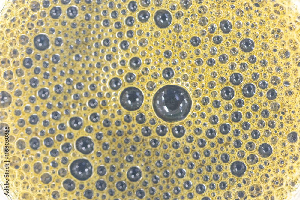 Polymerase Chain Reaction (PCR) and Agarose gel electrophoresis is a ...