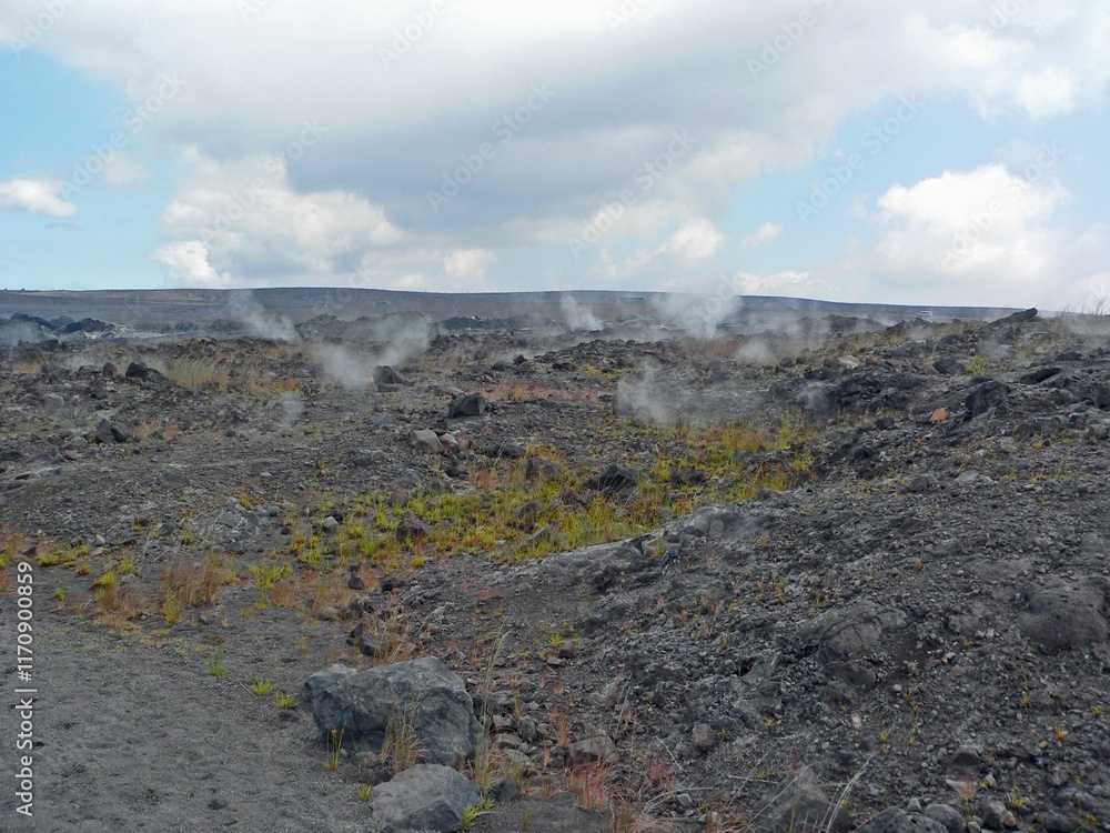 Steam rising from volcanic terrain at Hawaii Volcanoes National Park ...
