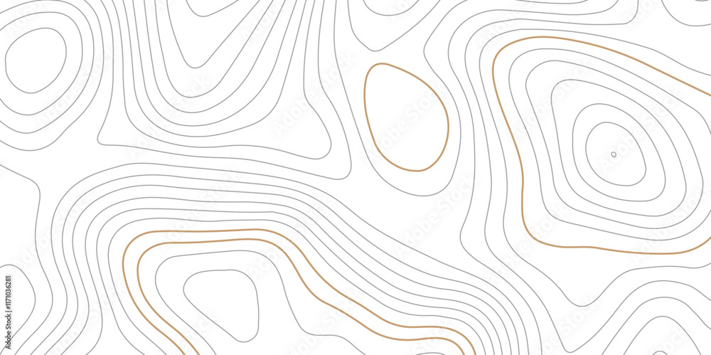 Topographic map lines background. Abstract vector illustration World ...