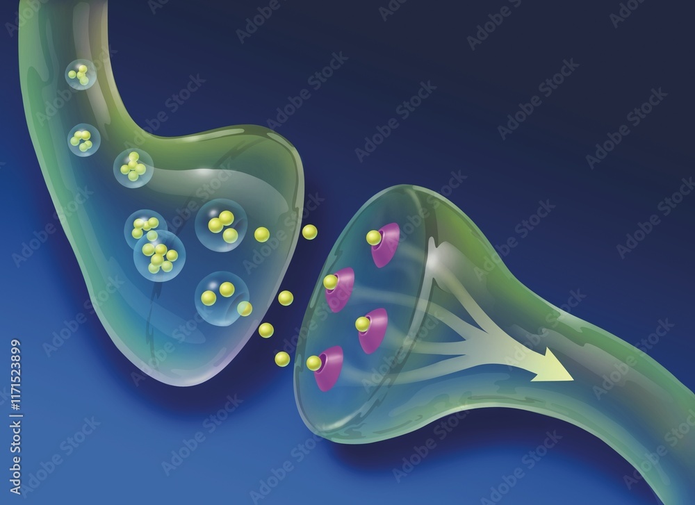 conceptual illustration depicting normal dopamine production and ...