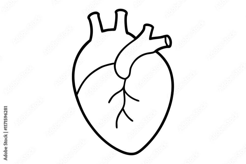 Human Heart Line Art Vector - Anatomical SVG Illustration Stock Vector ...