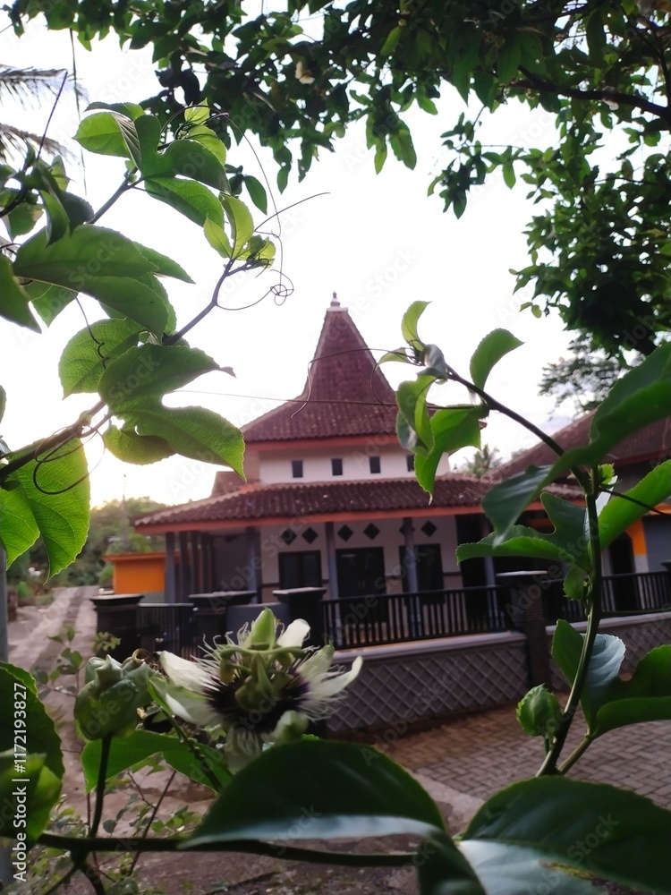 Charming Javanese house with a pyramid-shaped roof and tropical trees ...