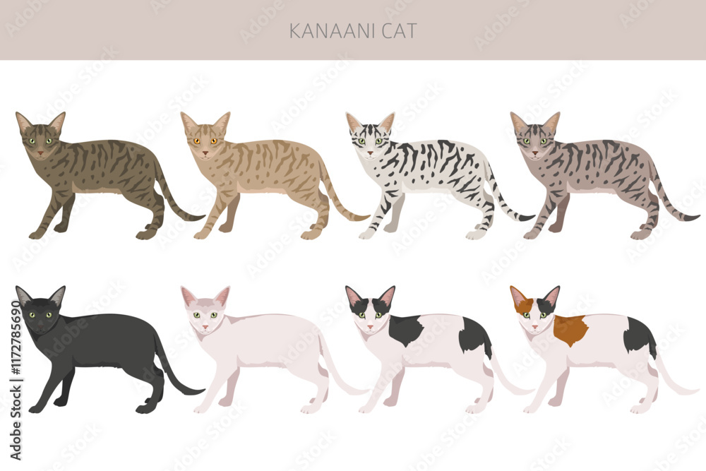 Kanaani Cat clipart. All coat colors set. All cat breeds ...
