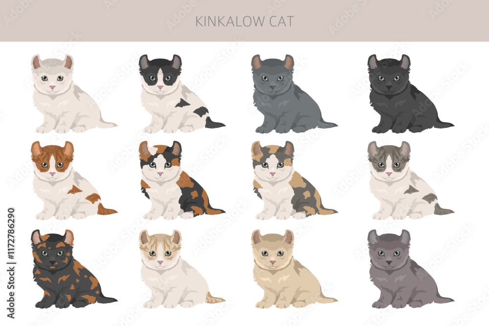 Kinkalow Cat clipart. All coat colors set. All cat breeds ...