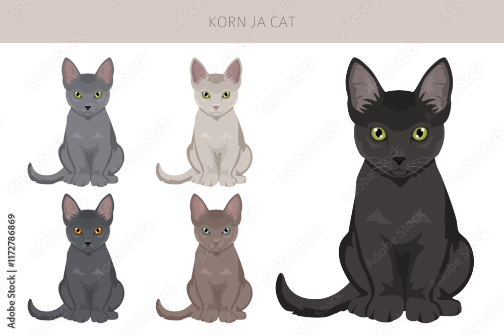 Korn Ja Cat clipart. All coat colors set. All cat breeds ...