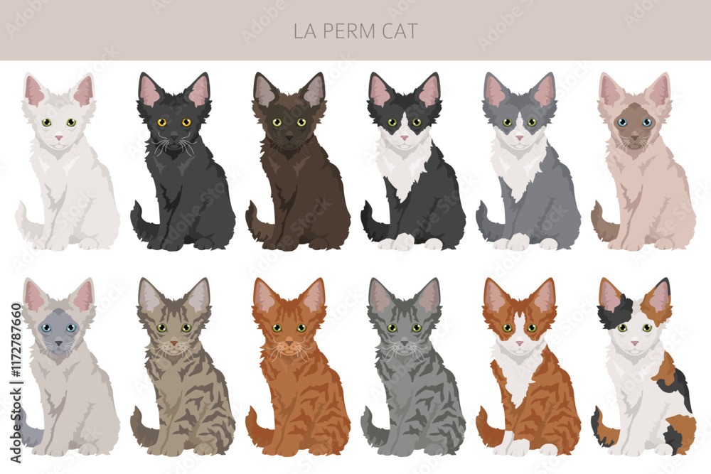 La Perm Cat clipart. All coat colors set. All cat breeds ...