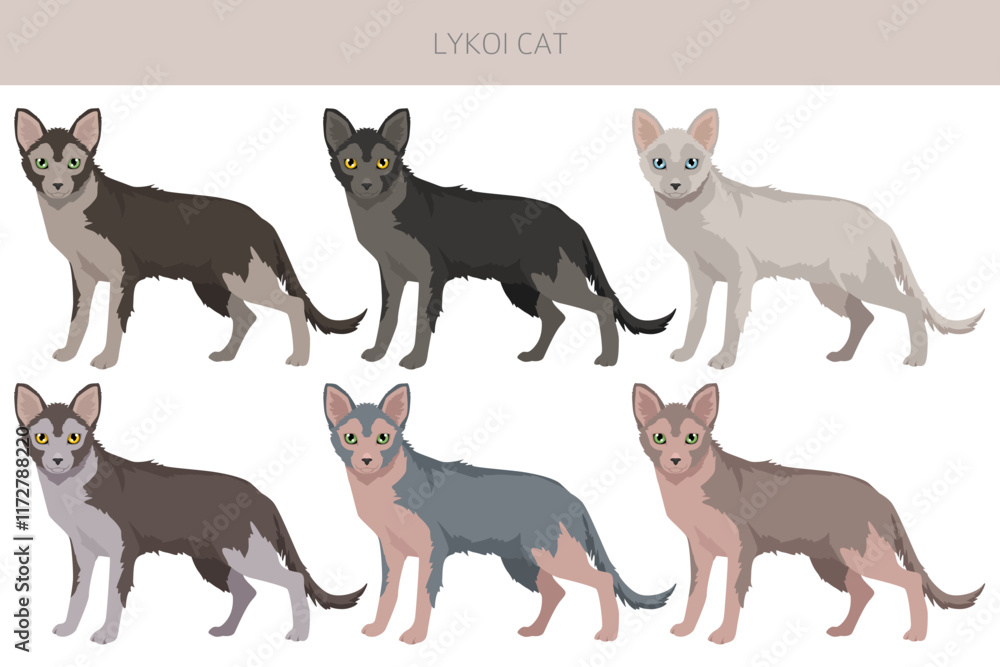 Lykoi Cat clipart. All coat colors set. All cat breeds characteristics ...