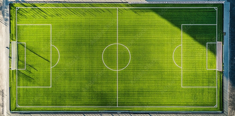 An overhead shot of a green grass background, suitable for a summer ...