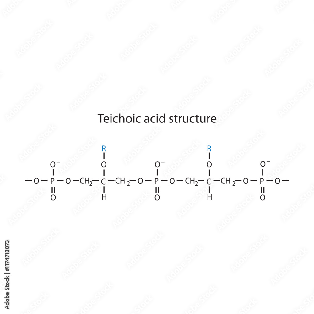 Diagram of Teichoic acid segment made of phosphate, glycerol, and a ...