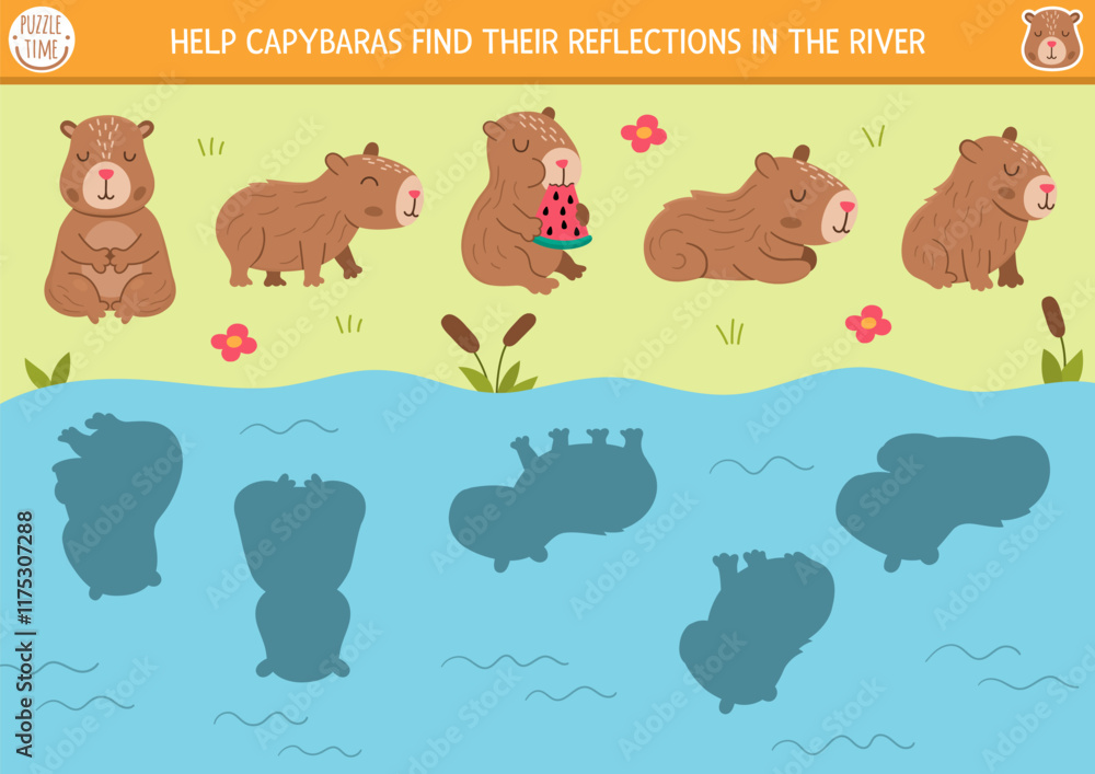 Capybara shadow matching activity with animals looking for their reflections in water. Capibara ...
