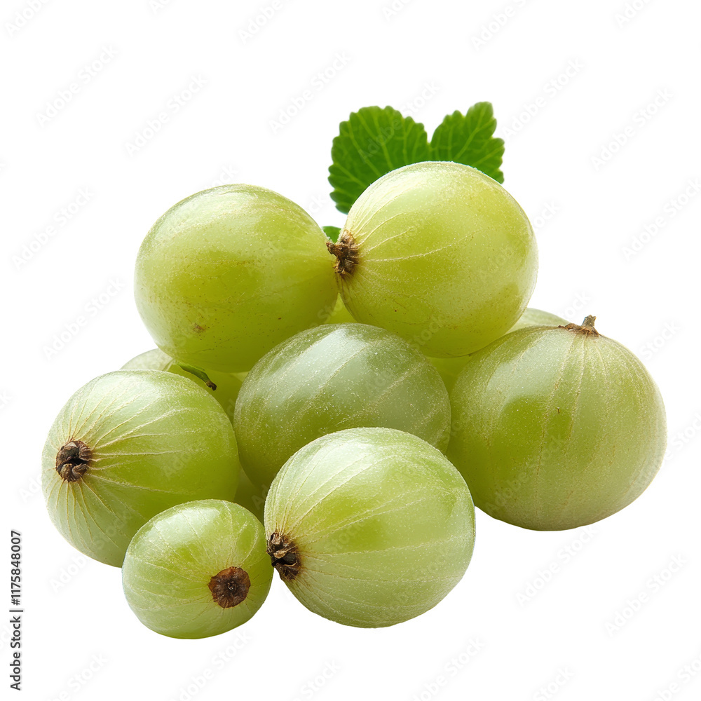 Fresh Indian gooseberries arranged on a transparent background ...