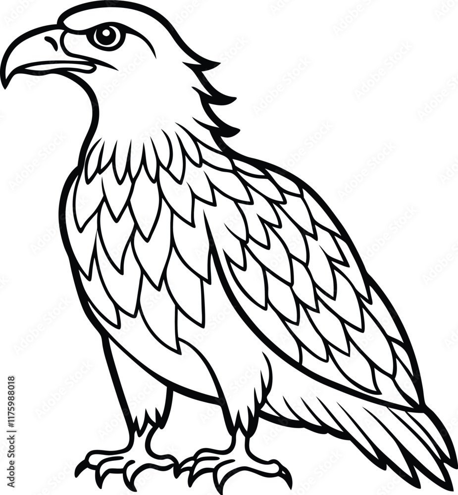 African fish eagle line arts with white background . Realistic African ...