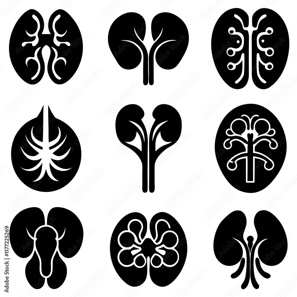 Variations of Kidney Anatomy Diagrams Stock Vector | Adobe Stock