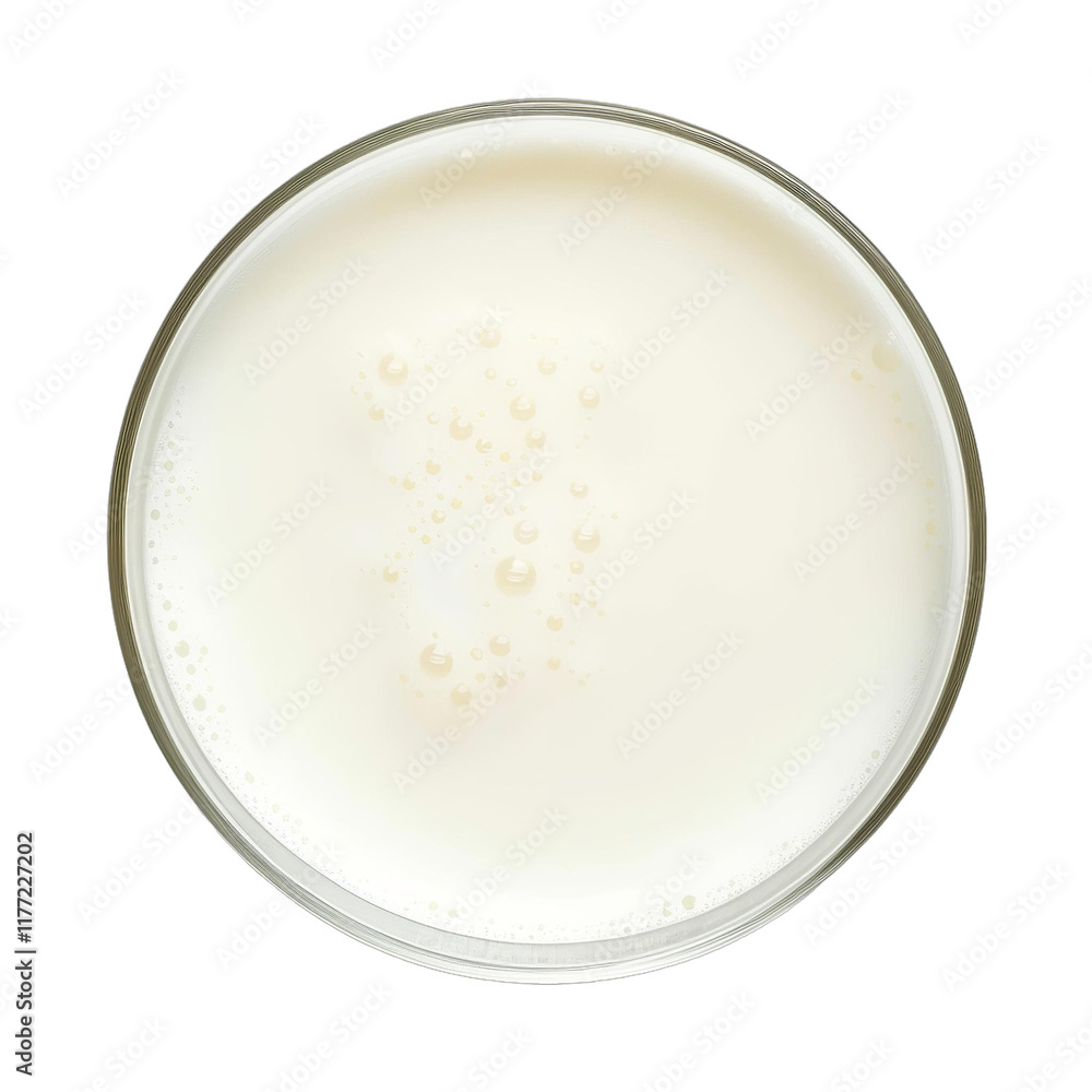 Overhead photograph of milk in a glass on a white background high ...