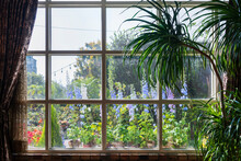Spring Garden Window Frame View Free Stock Photo - Public Domain Pictures
