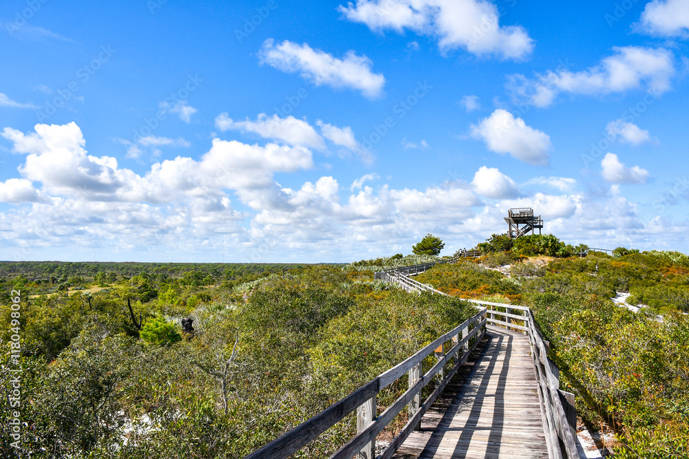 Boardwalk leading up to an observation tower at Jonathan Dickinson ...