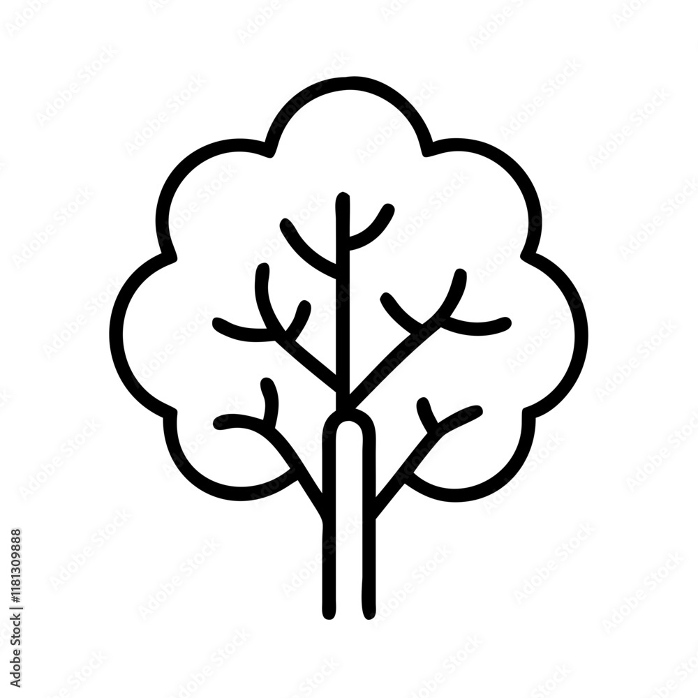 Image vectorielle Stock eucalyptus tree icon, tree line art, tree ...