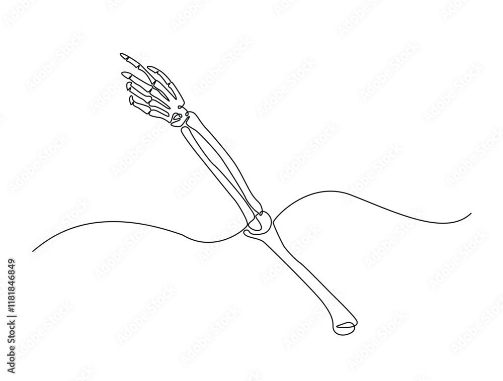 Continuous one line drawing bones of human hand. Wrist bones in single ...